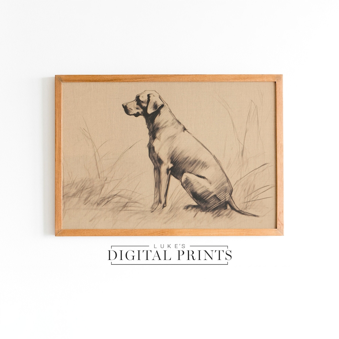 Black Labrador Sitting Portrait Print - Vintage Digital Download ...