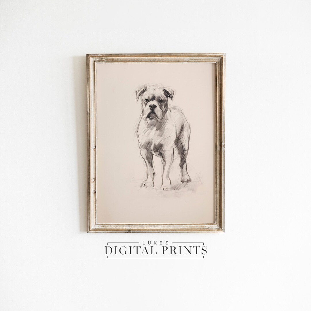 Bulldog Drawing Art Print - Digital Download - PRINTABLE Stocky British ...