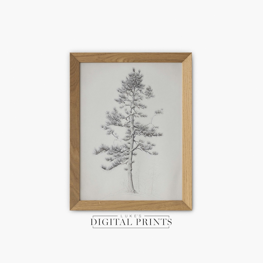Vintage Pine Tree Pencil Drawing Digital Print - Minimalist Antique ...
