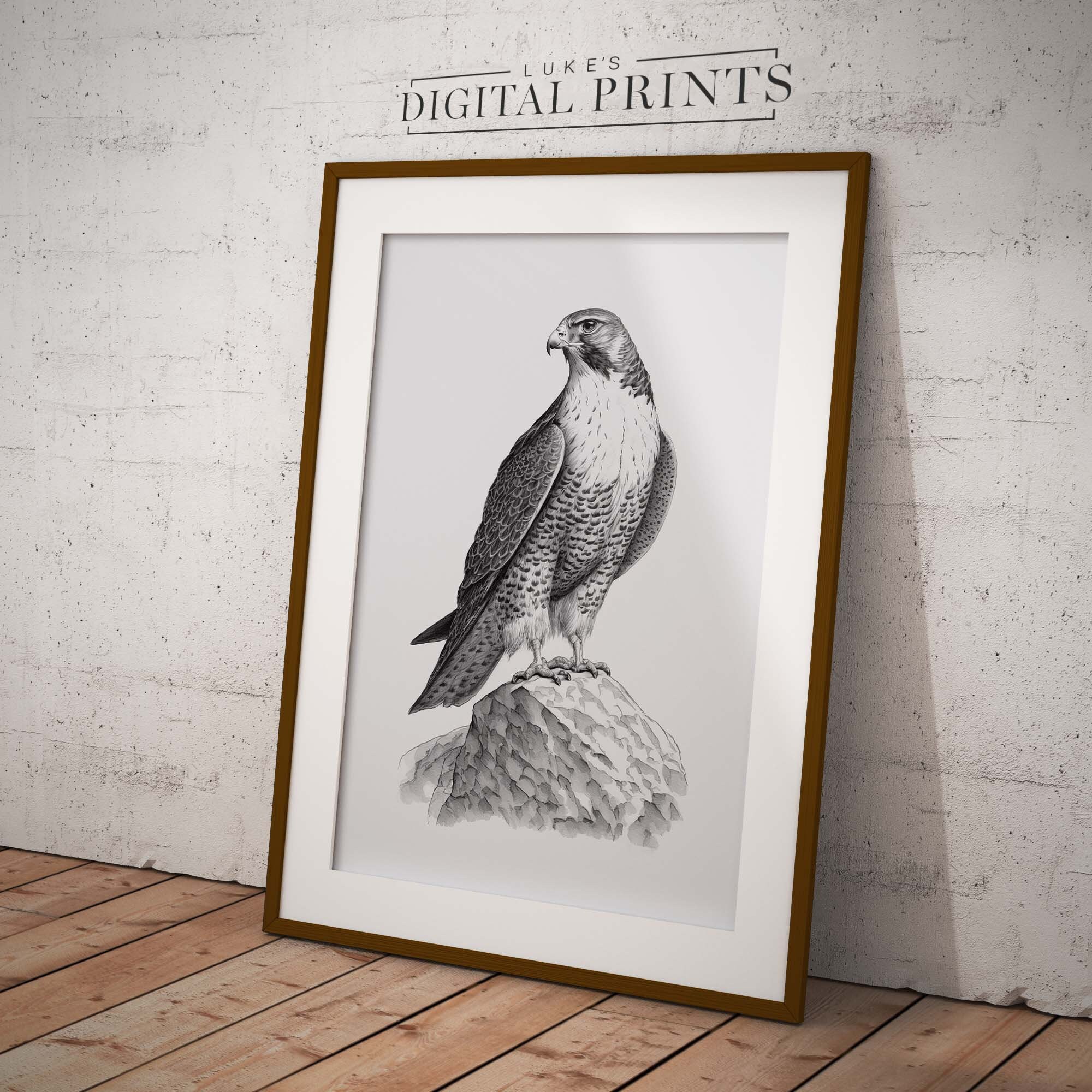 Thronender Falke Zeichnung - Digitaldruck Download - Vintage Vogel ...
