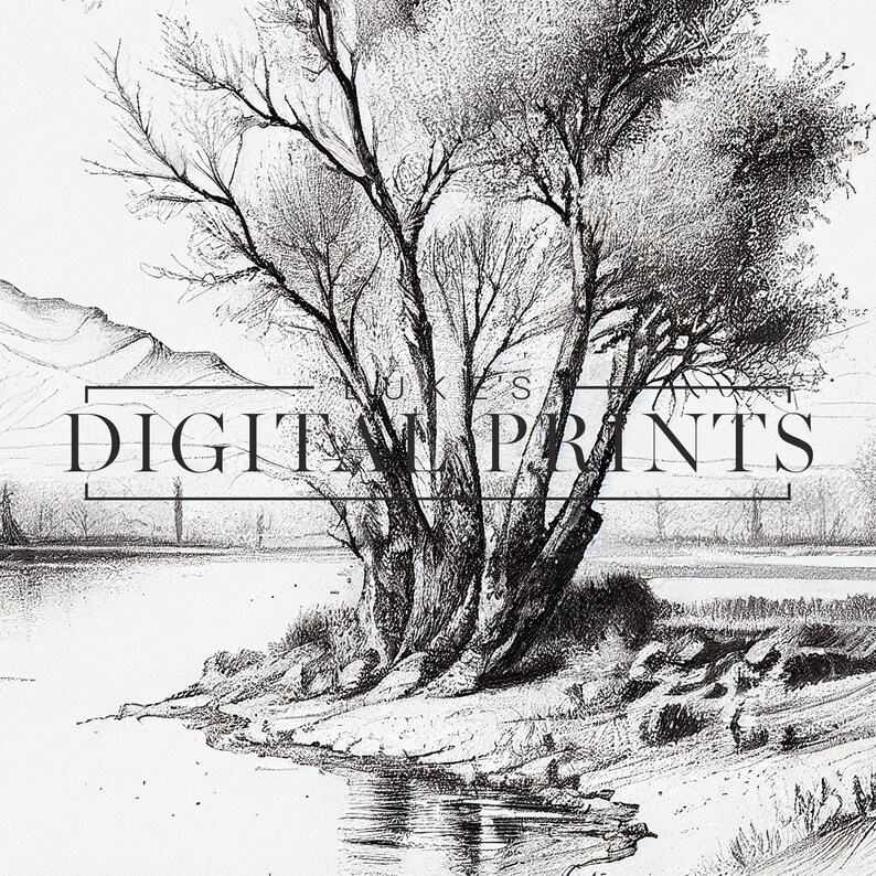 Pine Tree Drawing Print Set of 2 Digital Art Downloads Minimalist ...