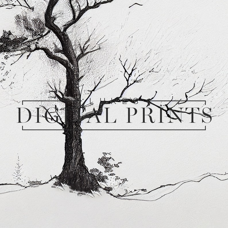 Ash Tree Pencil Drawing Print Digital Download Vintage - Etsy