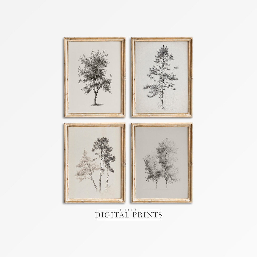 Tree Sketch Art Print Set of 4 - Digital Drawing Downloads - PRINTABLE ...