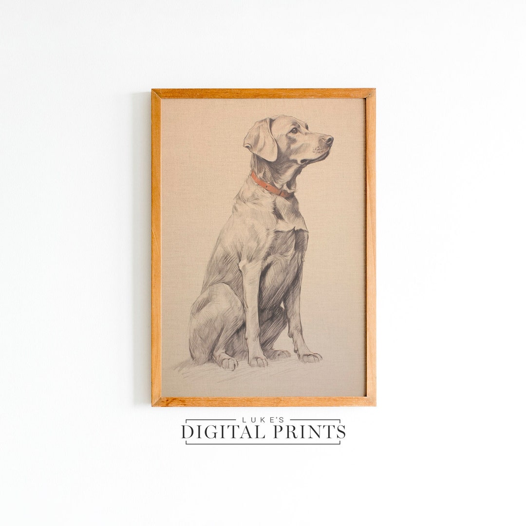 Silver Labrador Sketch Print - Digital Download - PRINTABLE Cute Pet ...