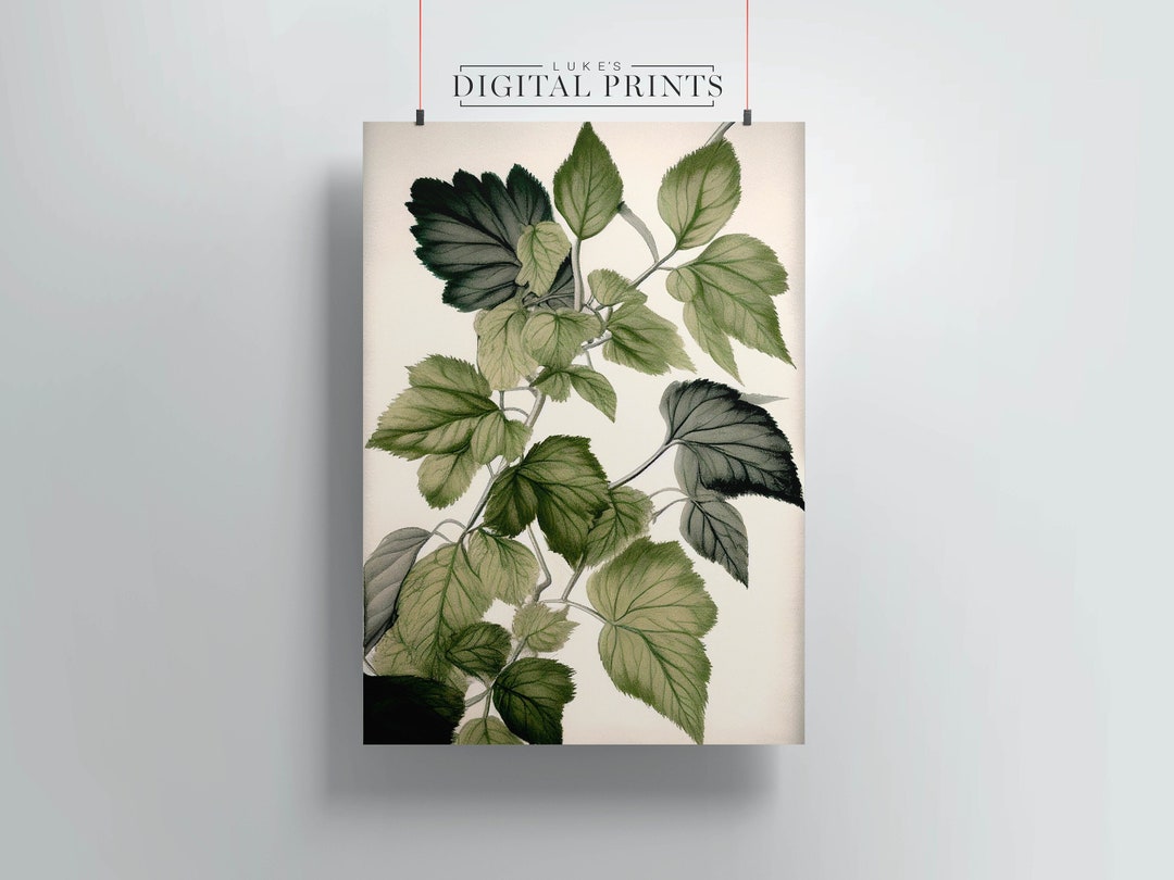 Green Leaf Drawing - Digital Print Download - Rustic Neutral Floral ...