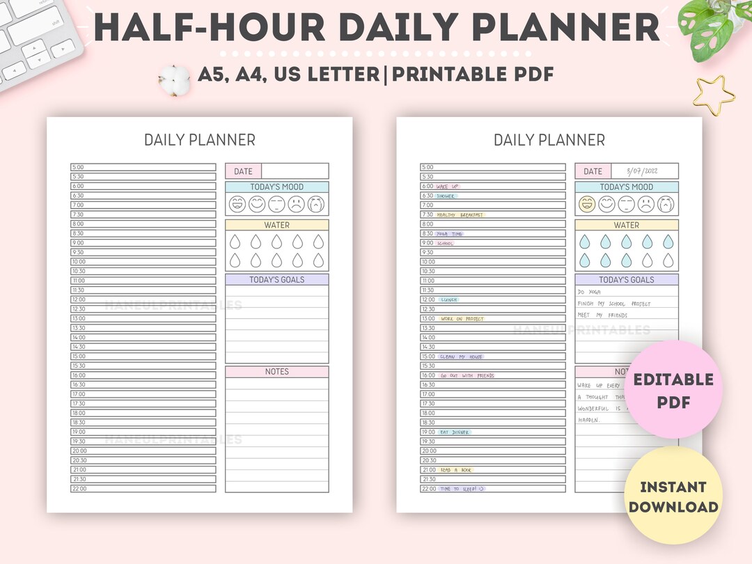 Half-hour Daily Planner: Fillable Productivity Printable (a4/a5/letter ...