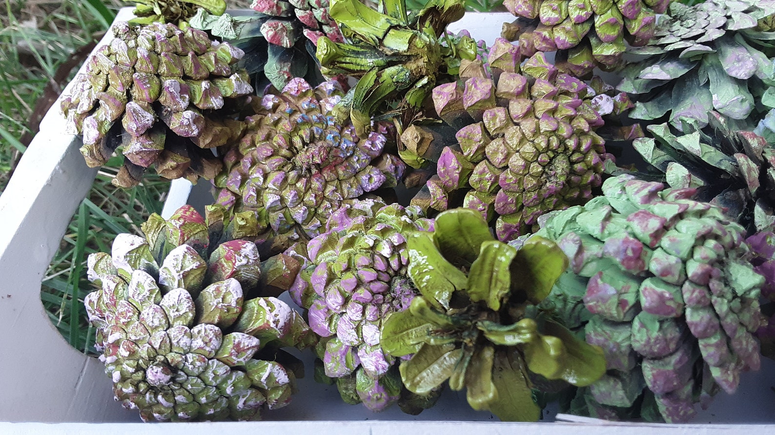 Painted Pinecones/zinnia Painted Pinecones/crafting Pinecones ...