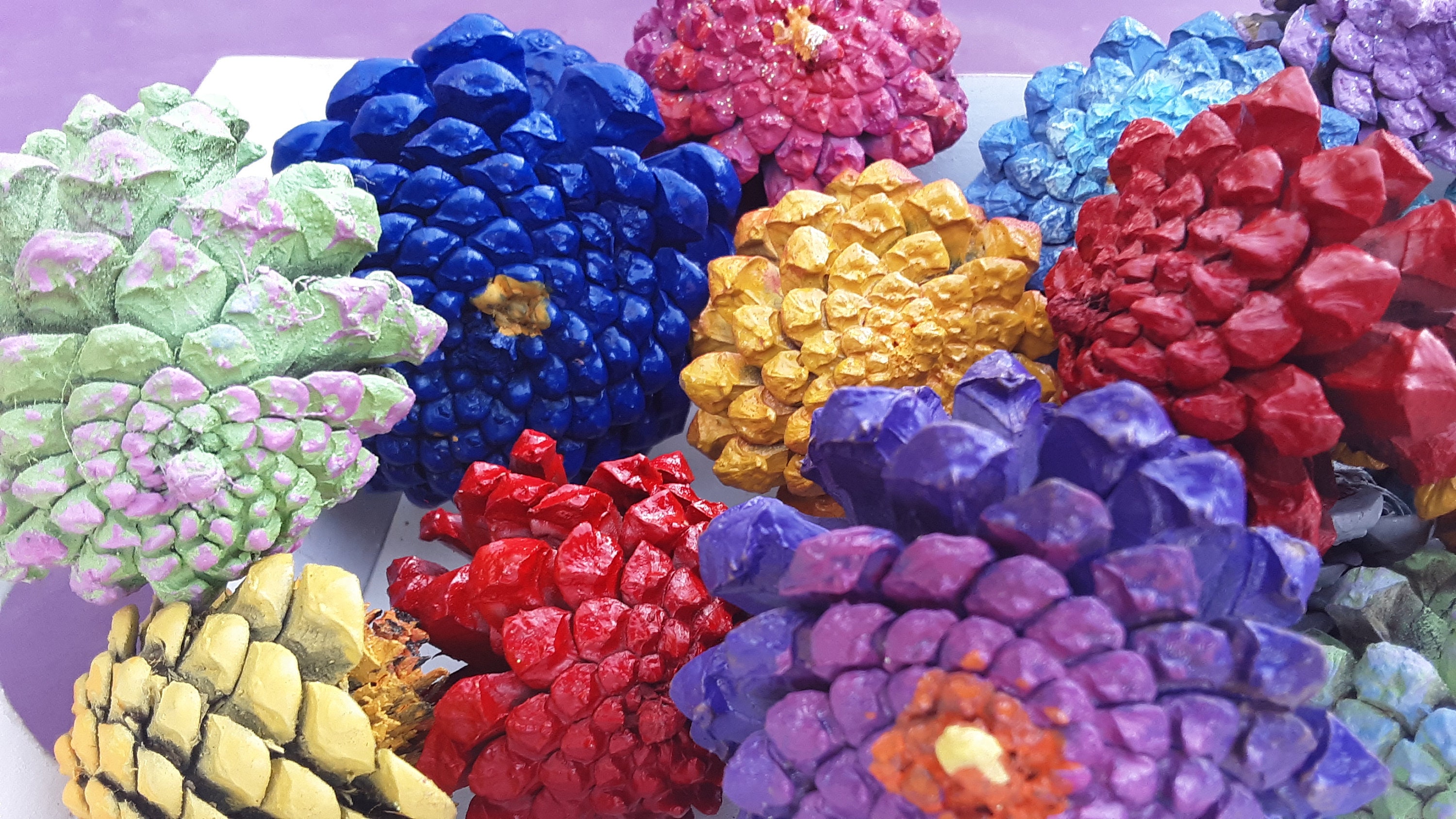 Painted Pinecones/zinnia Painted Pinecones/crafting Pinecones ...