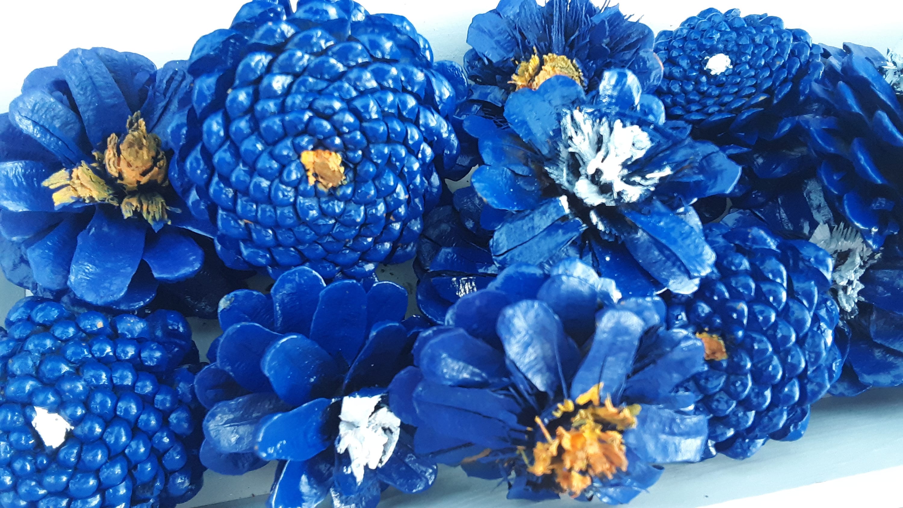 Painted Pinecones/zinnia Painted Pinecones/crafting Pinecones ...