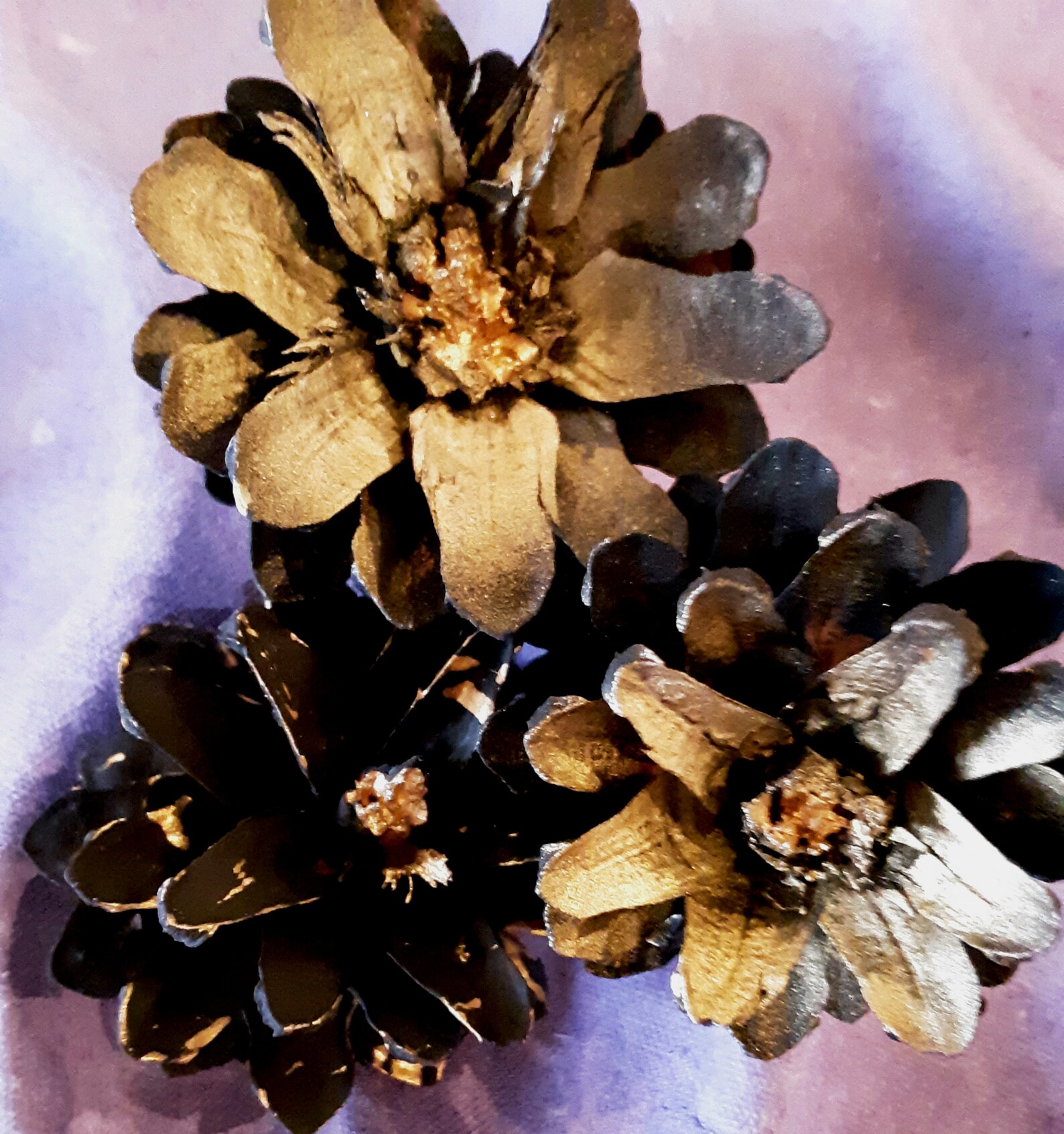 Painted Pinecones/zinnia Painted Pinecones/crafting Pinecones ...