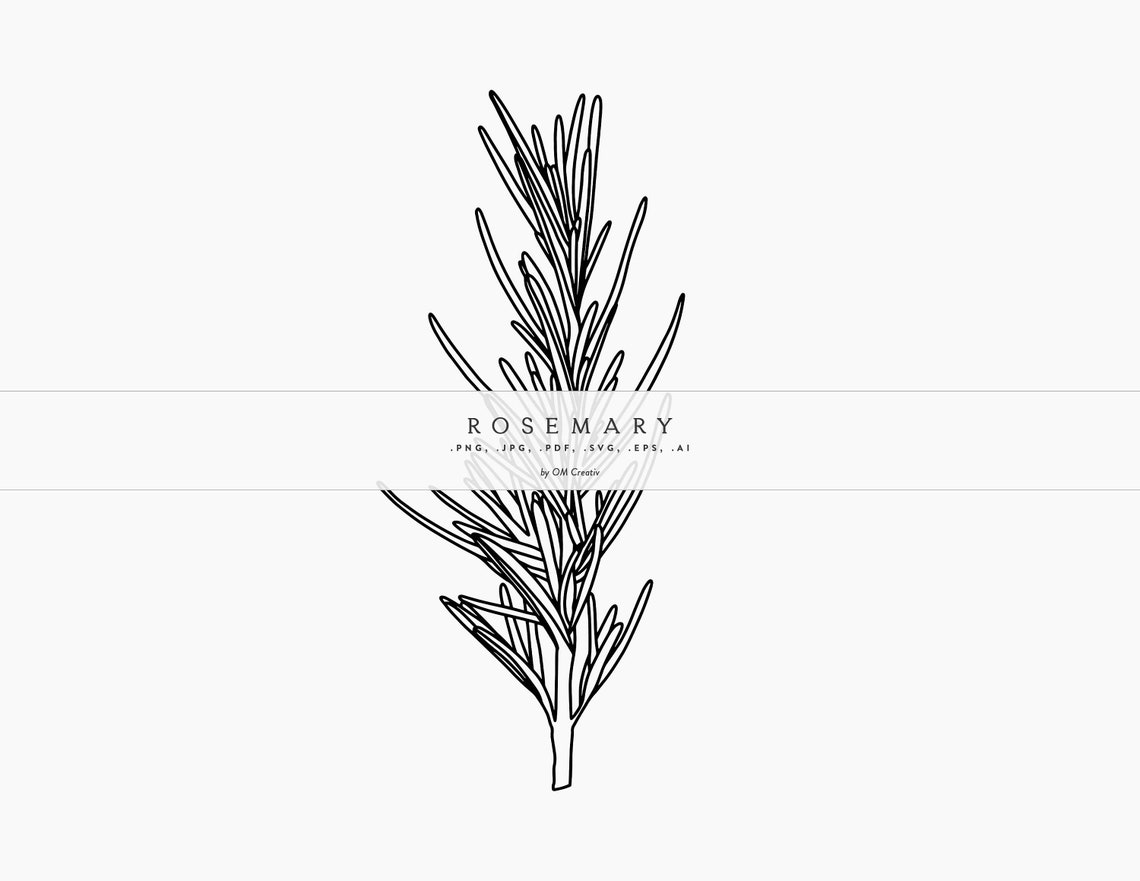 Rosemary SVG Kitchen Print, Cricut Items, Food Clipart, Herbs SVG ...