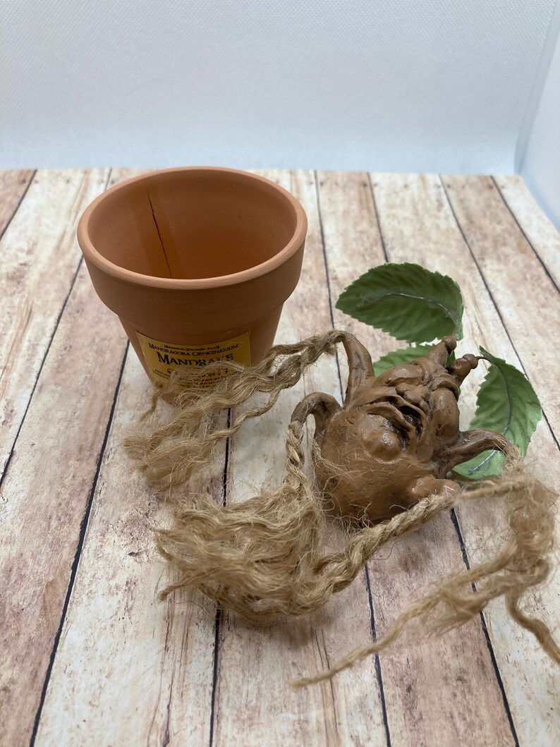 Mandrake Plant Screaming Plant Figurine Mandrake Root | Etsy