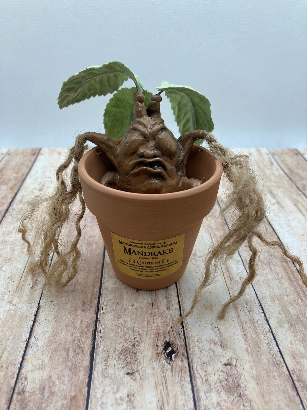 Mandrake Plant Screaming Plant Figurine Mandrake Root Plant Sculpture ...