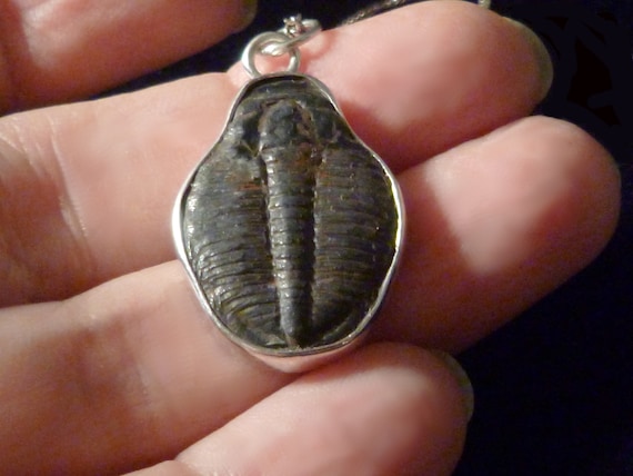 Sterling Trilobite Necklace and Ring - Gem