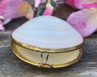 Pink Clam Shell - Etsy