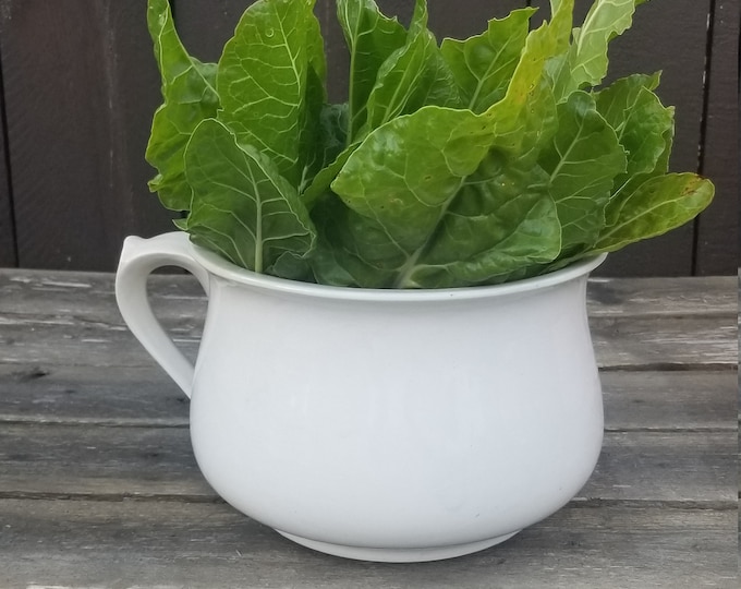 Antique White Black Rim Covered Chamber Pot Vintage 1930's Slop Pot ...