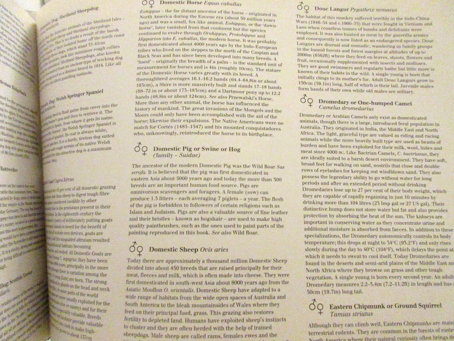 The Ultimate Noah's Ark HC Book by Mike Wilkes/ Collectible First ...