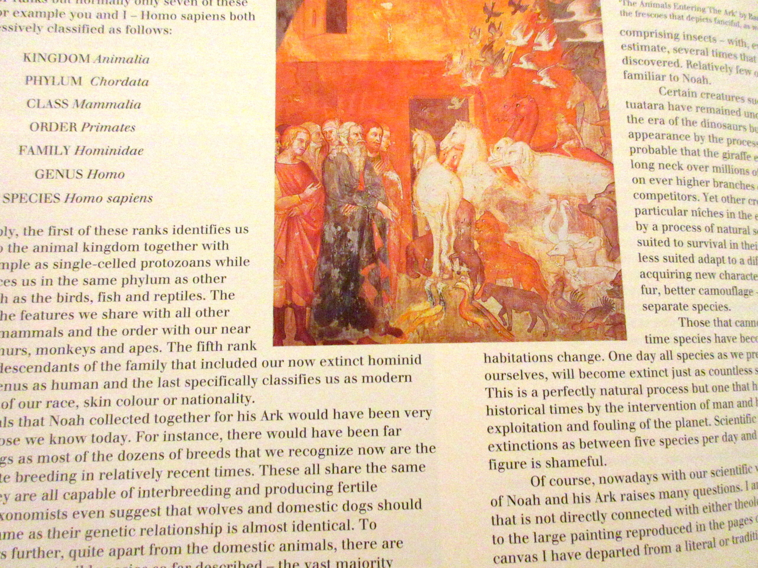 The Ultimate Noah's Ark HC Book by Mike Wilkes/ - Etsy