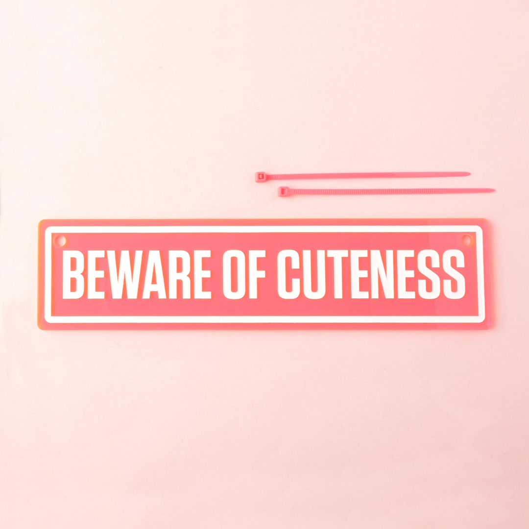 Beware of Cuteness Pet Crate Signs, New Puppy Gift, Colorful Engraved ...