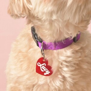 Lucy Heart Personalized Pet Tag, Cat and Dog ID Tag - Etsy
