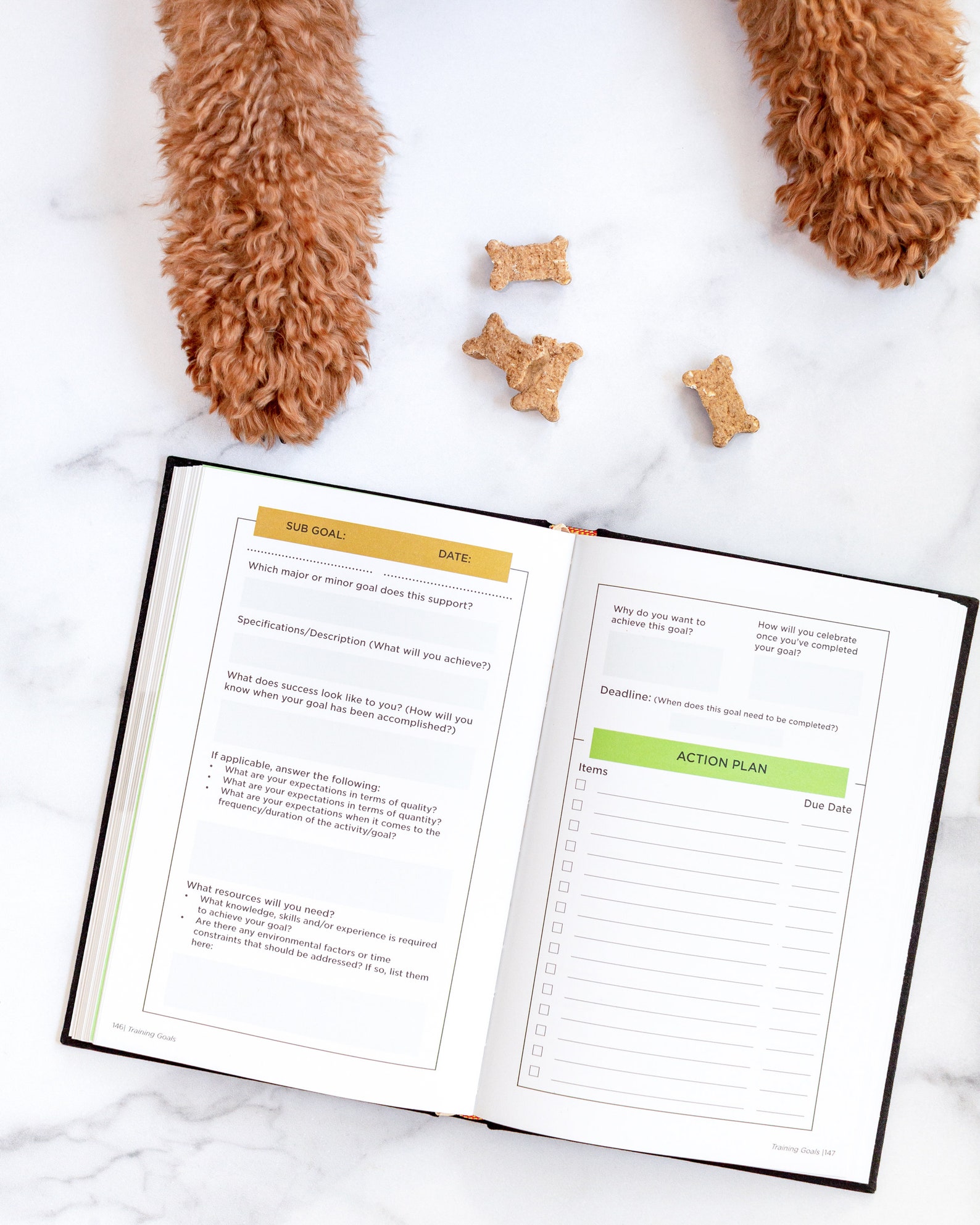 Puppy Journal : A Guided Journal to Document the First Year - Etsy