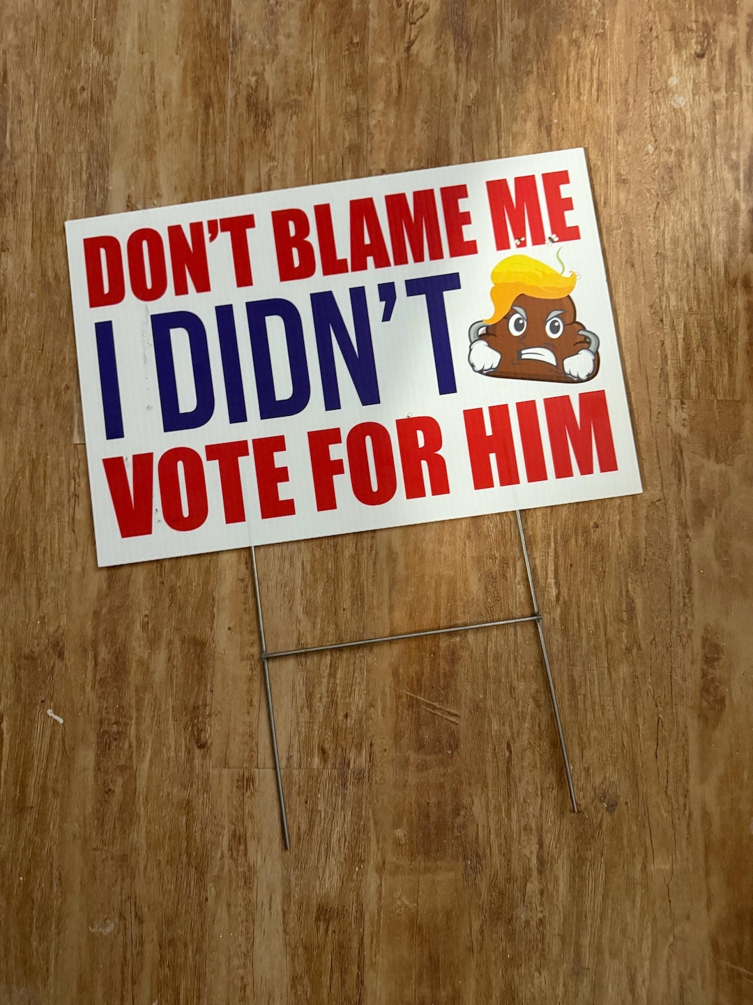 DONT BLAME ME I Didn’t Vote for Him Anti Donald Trump Yard Sign - Etsy