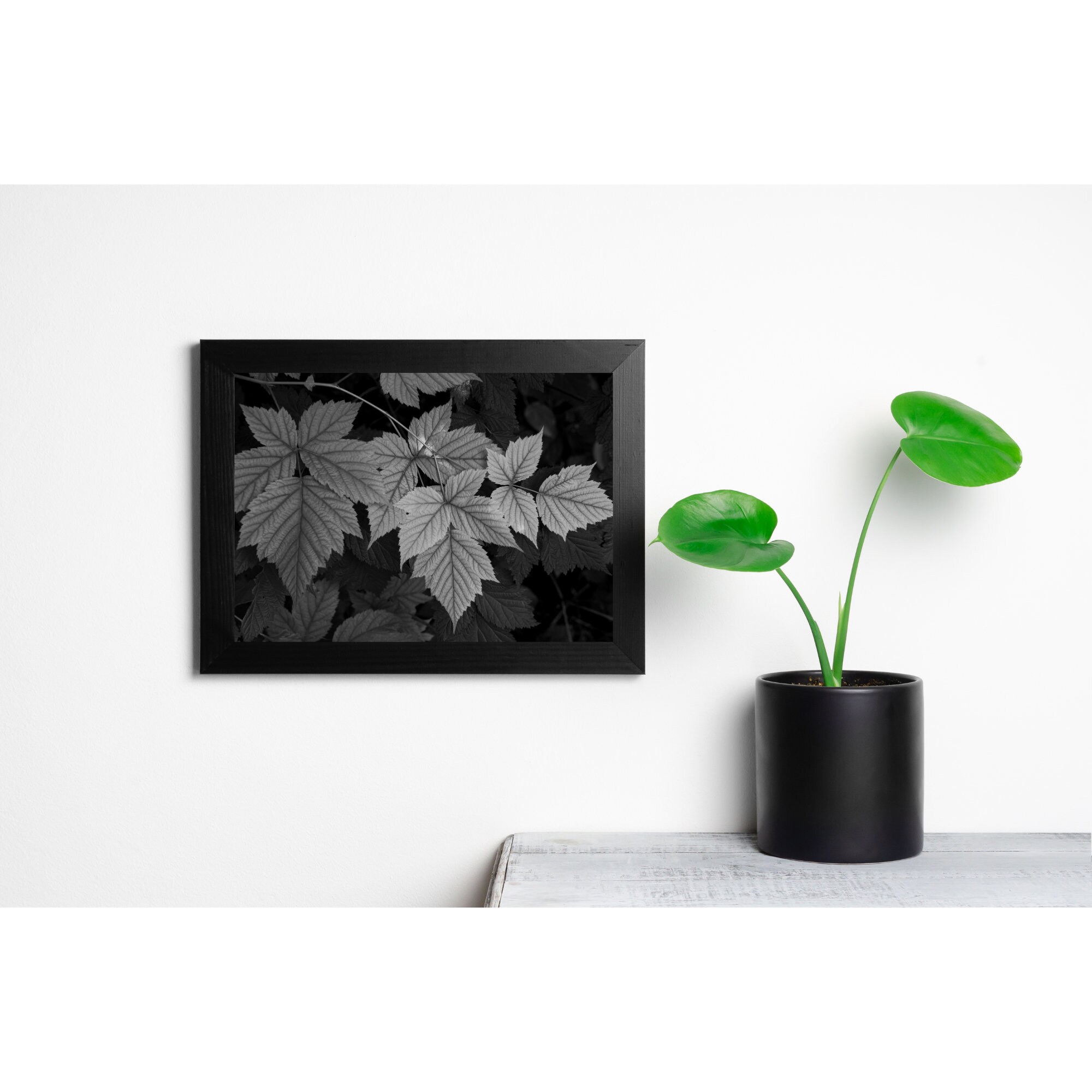 Black and White Printable Leaf Wall Art, Leaves Wall Art, Botanical ...