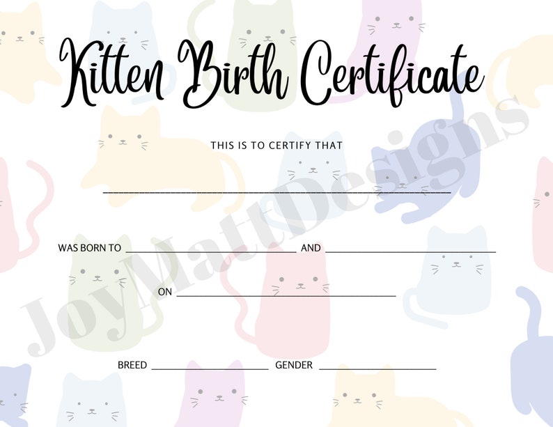 Kitten Birth Certificate Breeder Birth Forms Gift for New - Etsy
