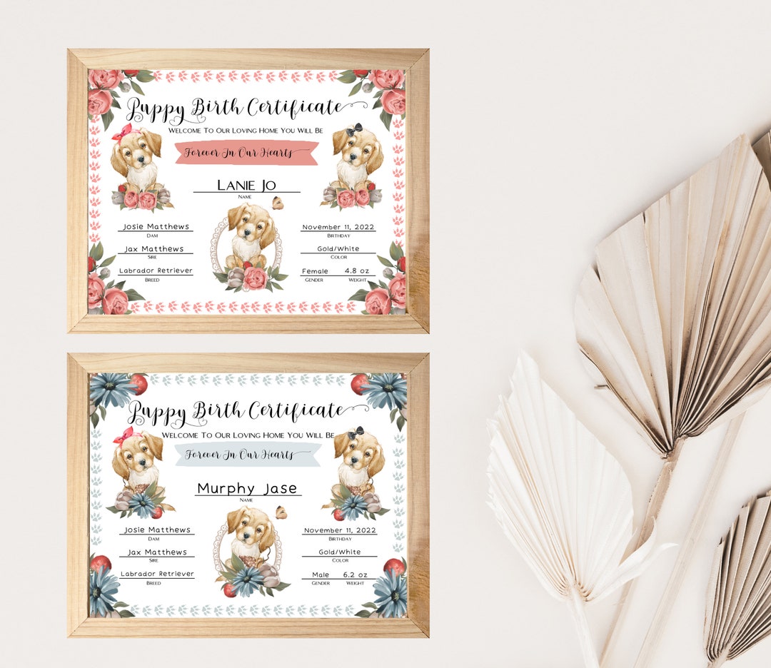 Labrador Puppy Birth Certificate, Breeder Birth Forms, Gift for New Dog ...