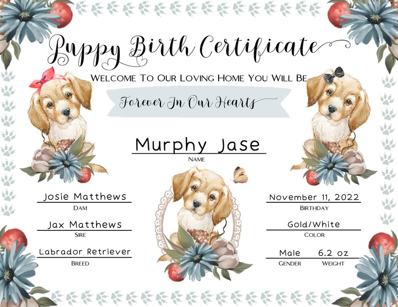 Labrador Puppy Birth Certificate Breeder Birth Forms Gift - Etsy