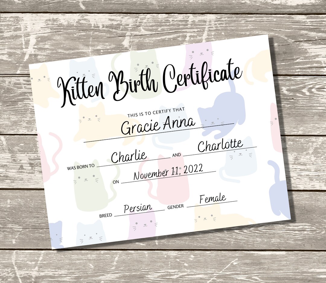 Kitten Birth Certificate Breeder Birth Forms Gift for New - Etsy