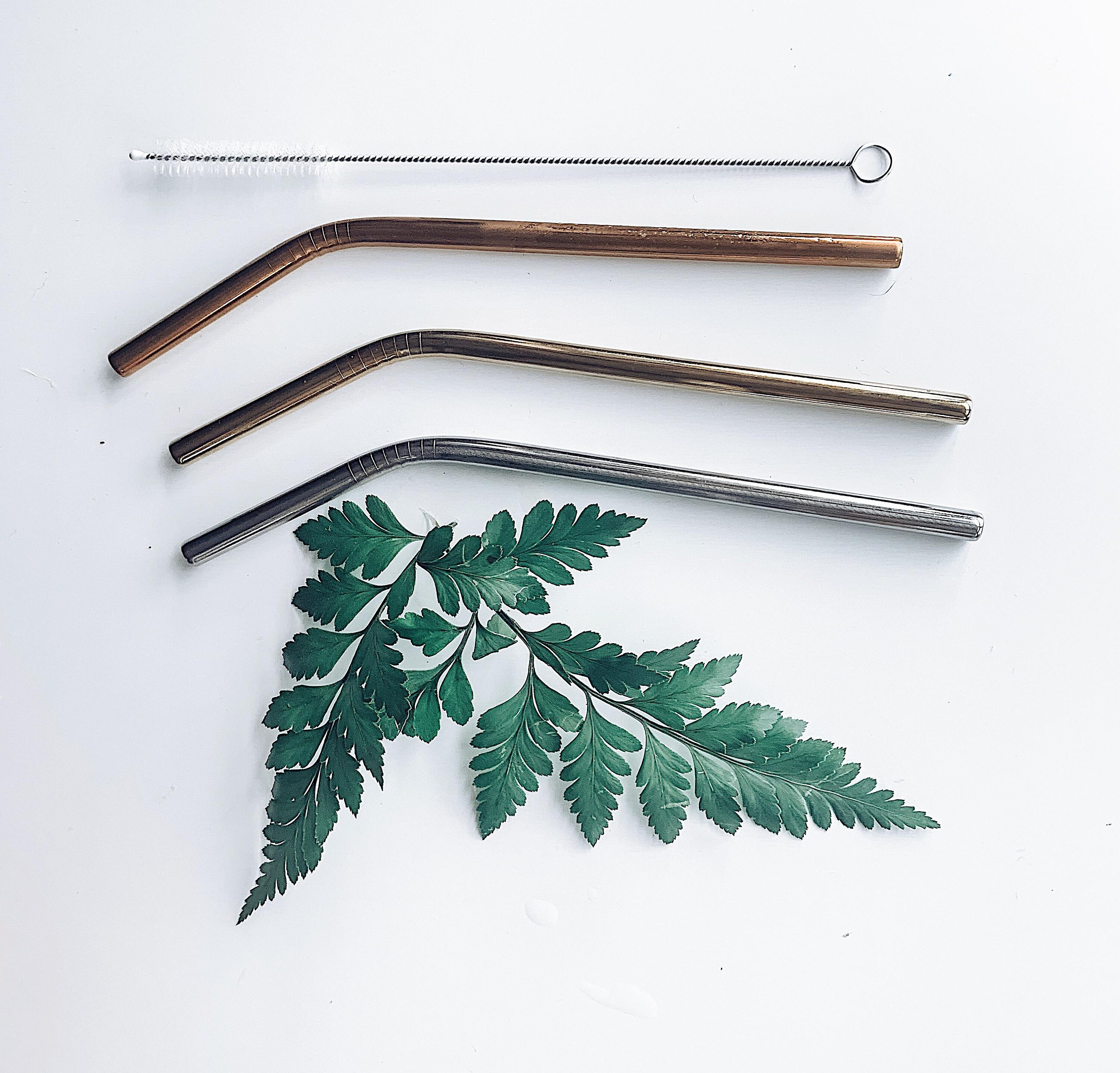 Eco Metal Straw & Cleaning Wand 3 Set - Etsy