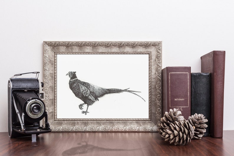 Digital Download Art, Pheasant Wall Art Print, Game Bird Instant ...