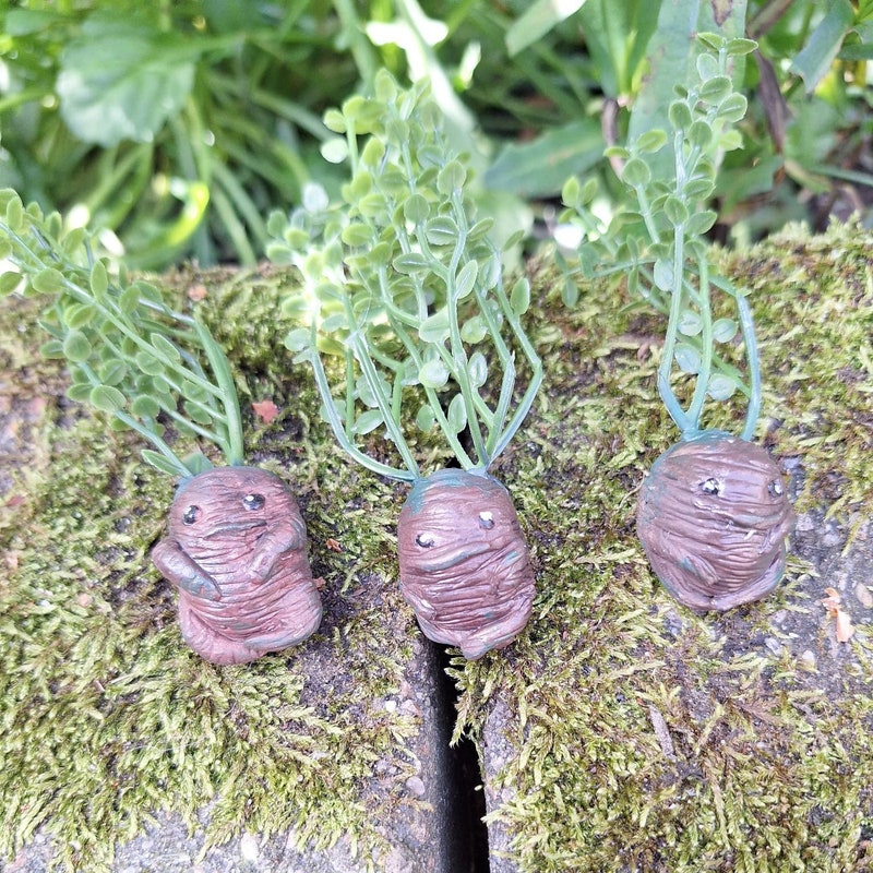Mandrake Sculpture - Etsy
