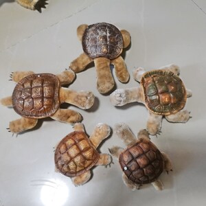 Vintage Kawaii Stuffed Animal Steiff Rubber Shelled Slo Turtle Terrapin ...