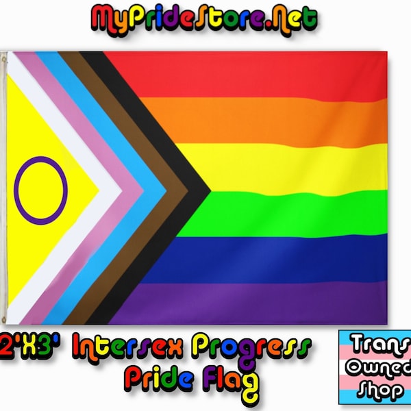 2x3 Progress Pride Flags - Etsy
