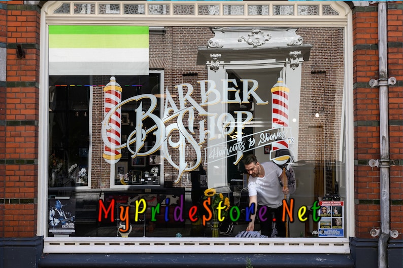 2'x3' Aromantic Pride Aro Pride Flag | Etsy