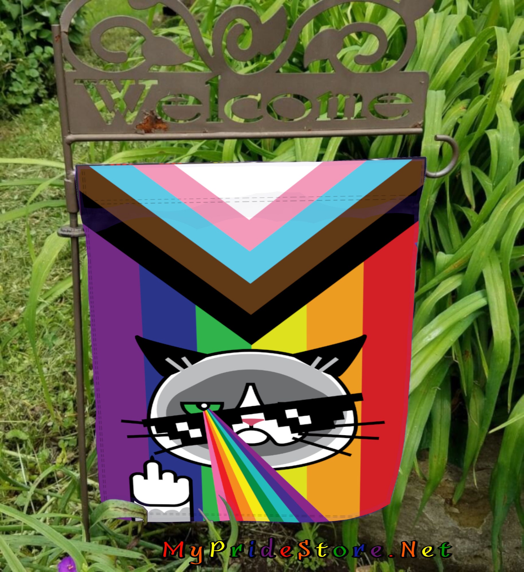 Crazy Cat-Progress Pride Flag - Unique LGBTQIA Flag