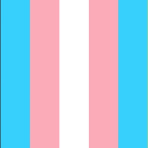 Trans Garden Flag Transgender Pride LGBTQIA Flag - Etsy