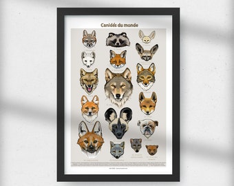 Wolf Species Poster | Etsy
