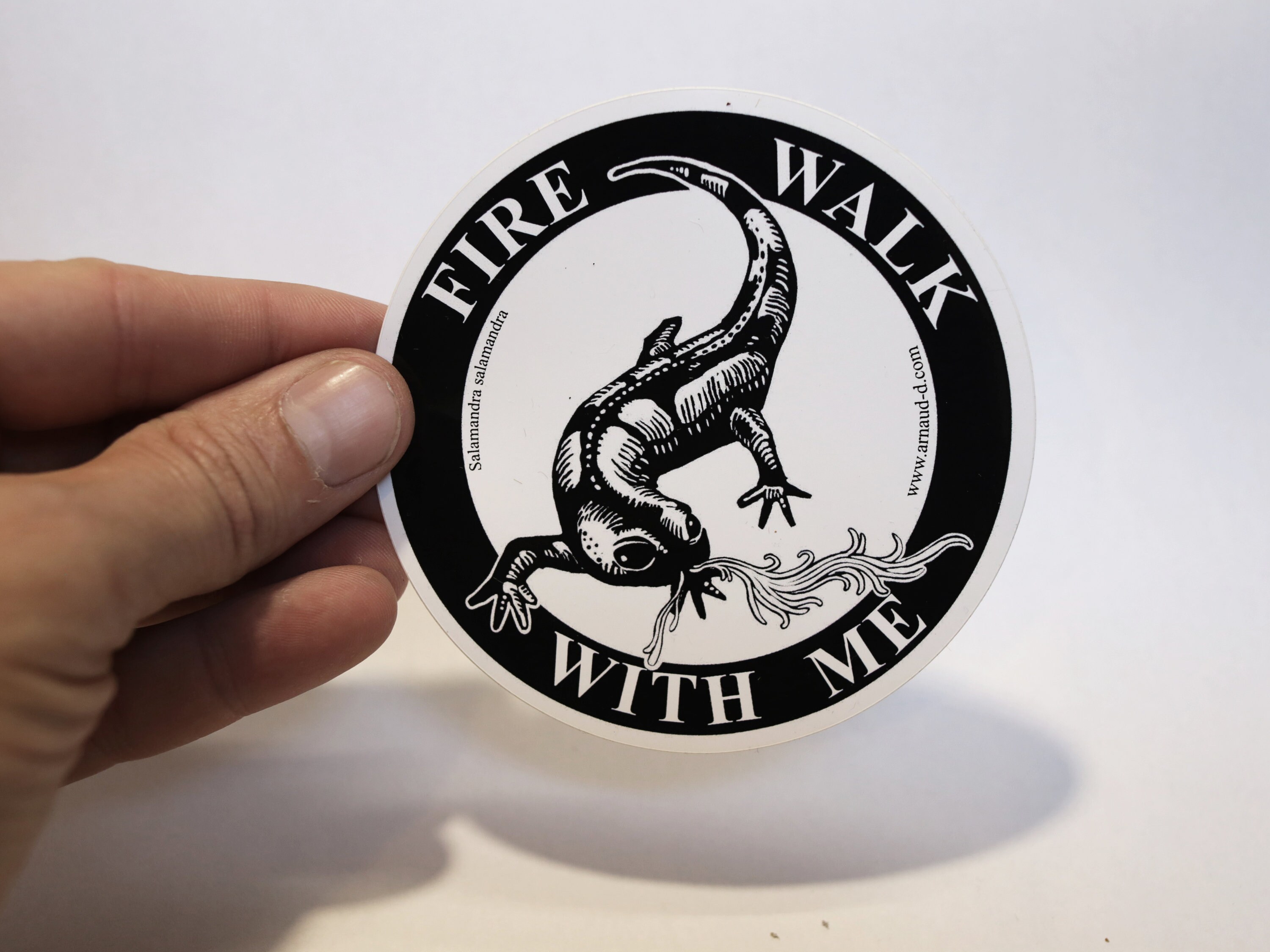 Salamander Sticker Decal - Etsy