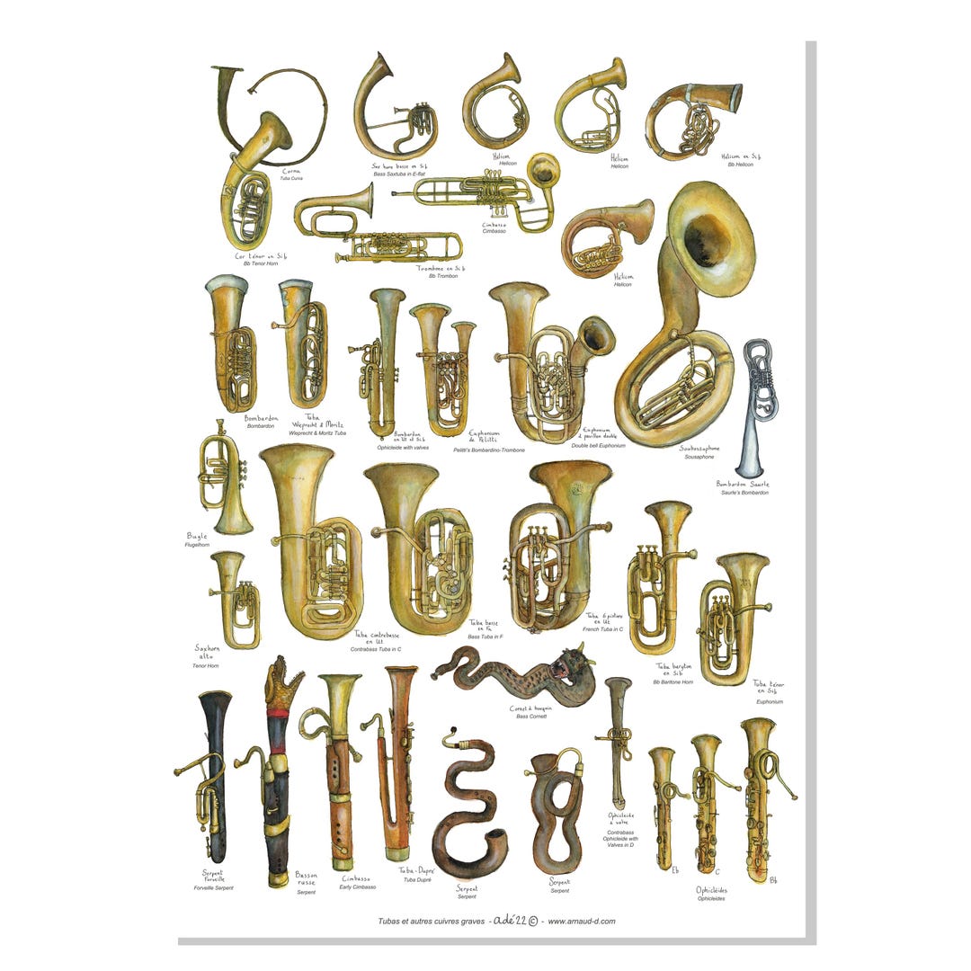 Poster Tuba and Other Low Brass Musical Instruments of the Tuba Family ...