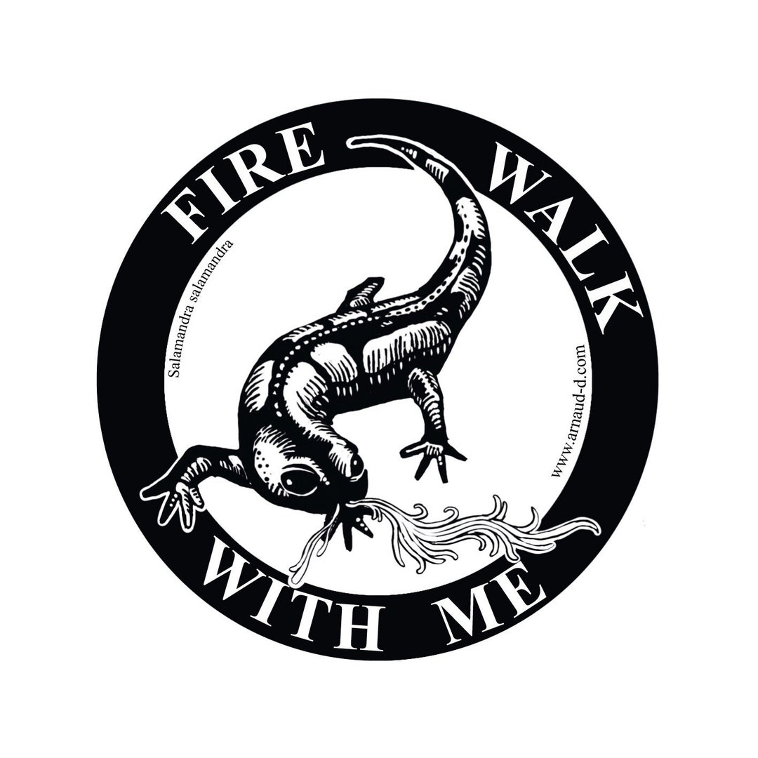 Salamander Sticker Decal - Etsy
