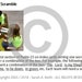 Psalm 23 Bible Lesson Plan: Good Shepherd, Children's Ministry (digital ...