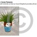 Psalm 23 Bible Lesson Plan: Good Shepherd, Children's Ministry (digital ...