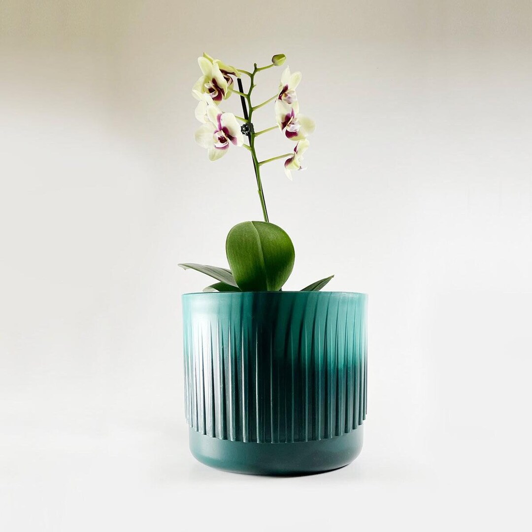 Recycled Ocean Plastic Plant Pot 19cm - SEAGRASS GREEN - Etsy