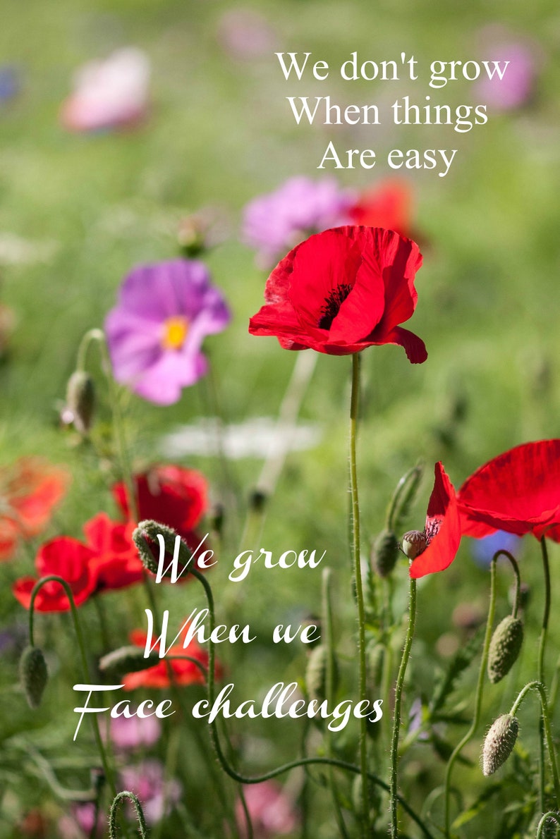 Red Poppy Digital Download, We Don't Grow When Things Are Easy ...