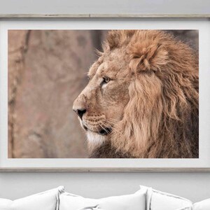 Lion Print, Printable Lion Photography, Wildlife Poster, Instant ...