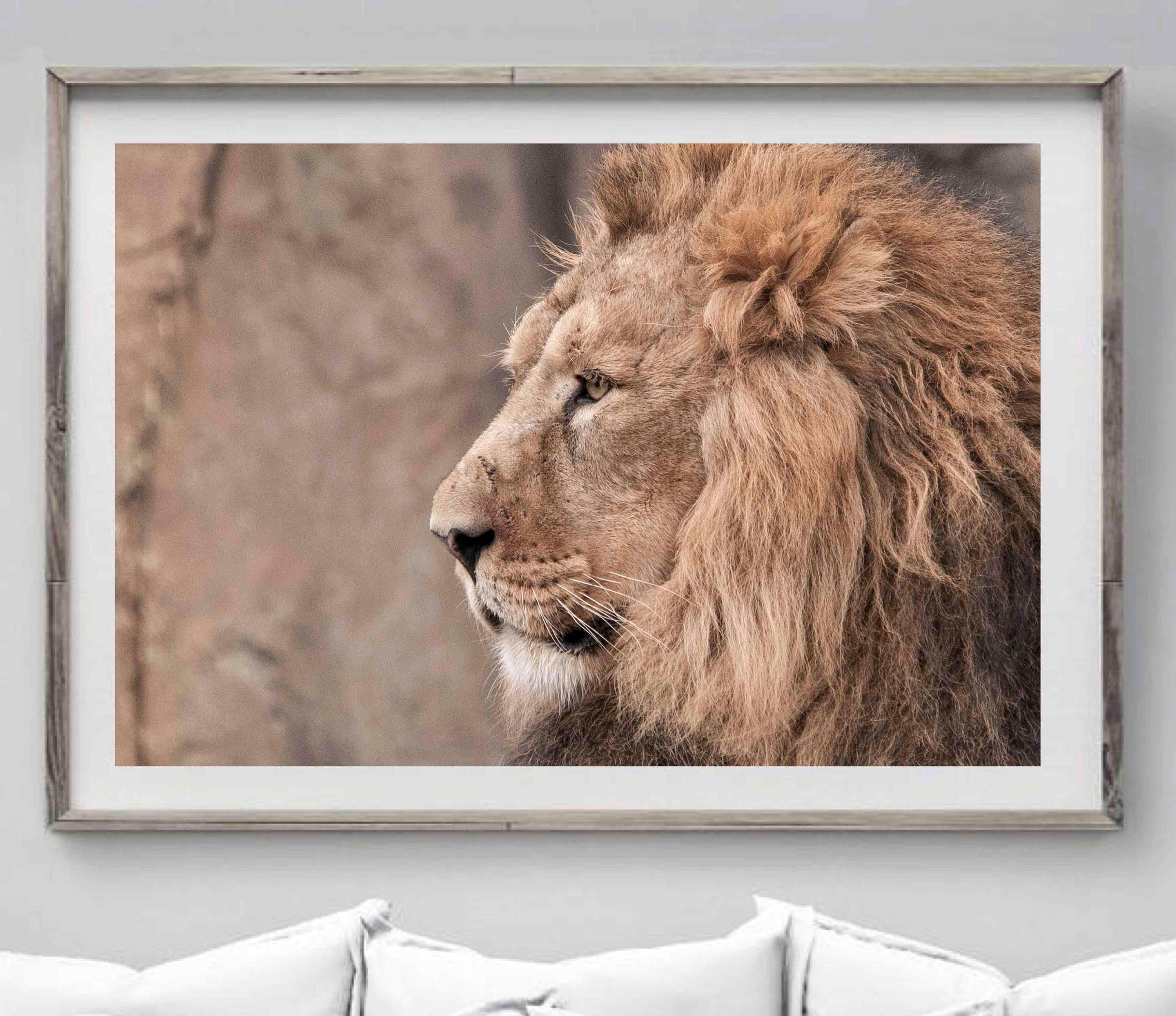 Lion Print, Printable Lion Photography, Wildlife Poster, Instant ...