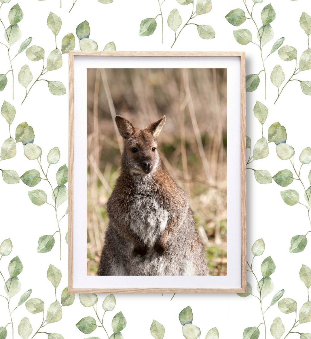 Wallaby Printable Download, Wallaby Photography Print, Nursery Room ...